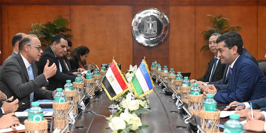 Arab Finance - AWS eyes broader expansion in Egypt’s AI, cloud ...
