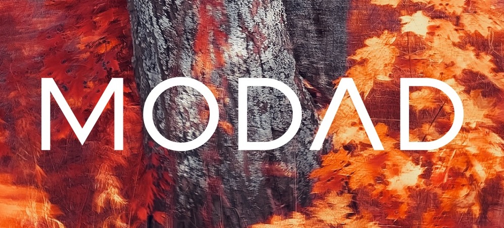 Arab Finance - MODAD Group allocates 5% of profits for social ...