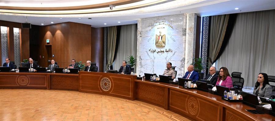Arab Finance - Cabinet approves launch of economic entities platform to ...