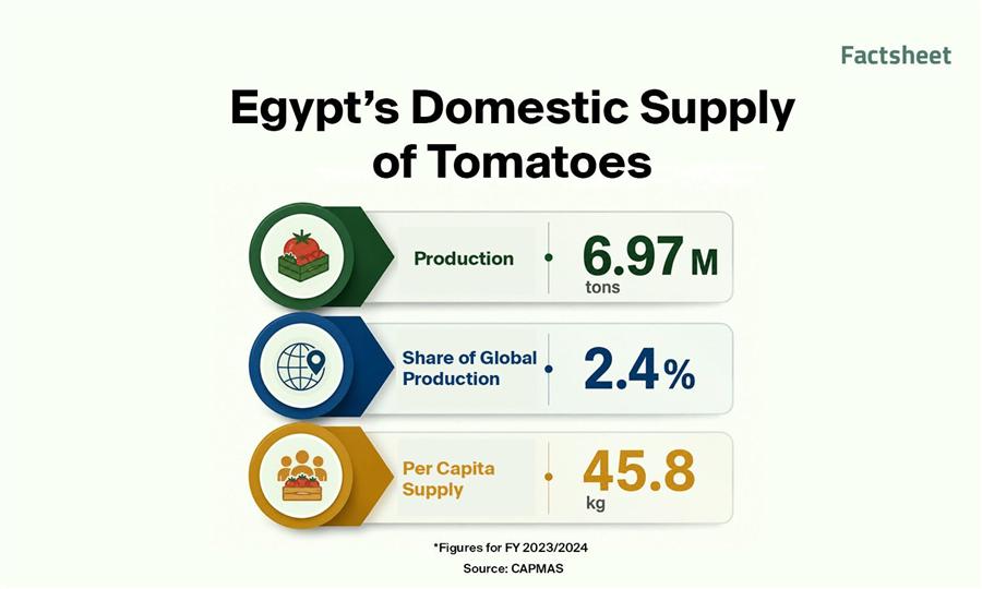 Arab Finance - Beyond the Price Spike: The Economics of Tomatoes in Egypt